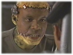 Synopsis - Primeval - BuffyGuide.com